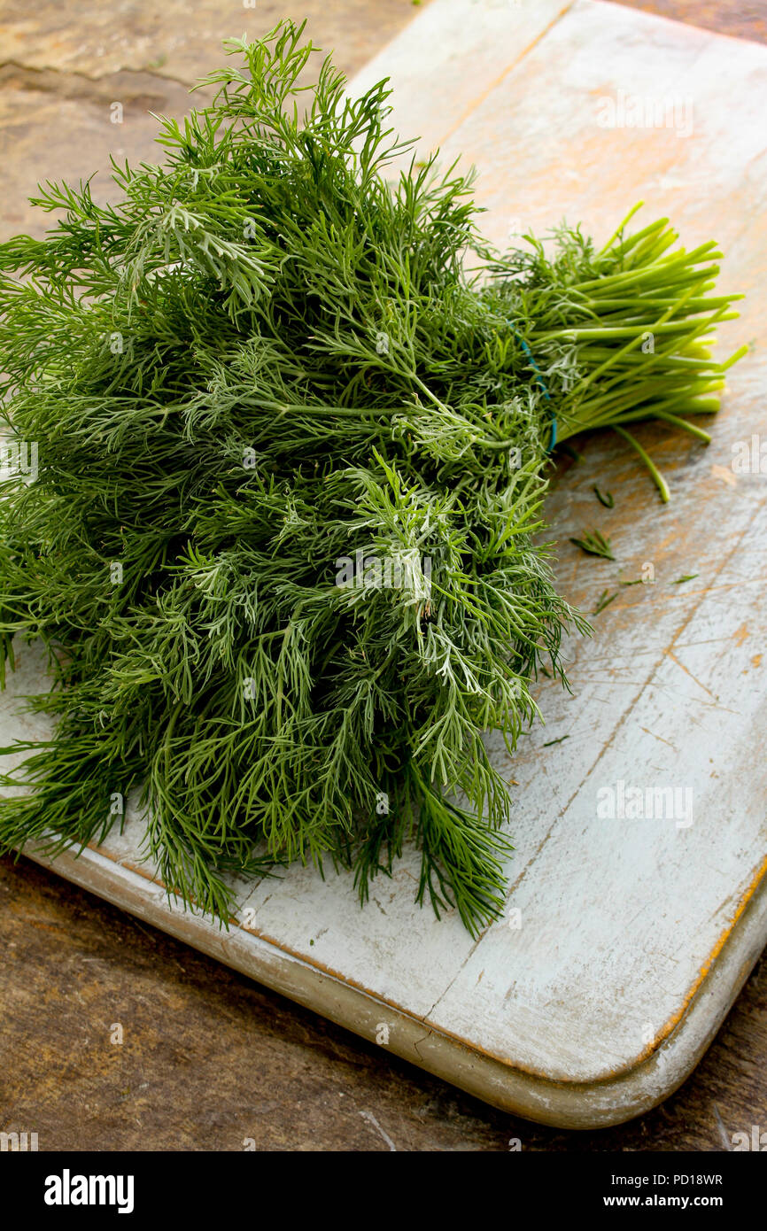 fresh dill herb in bunch Stock Photo - Alamy