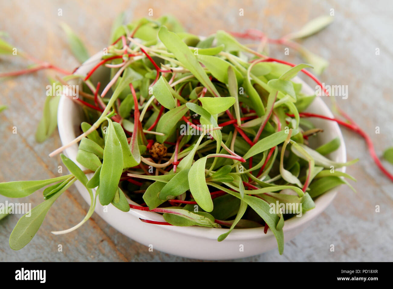 fresh micro herbs Stock Photo - Alamy