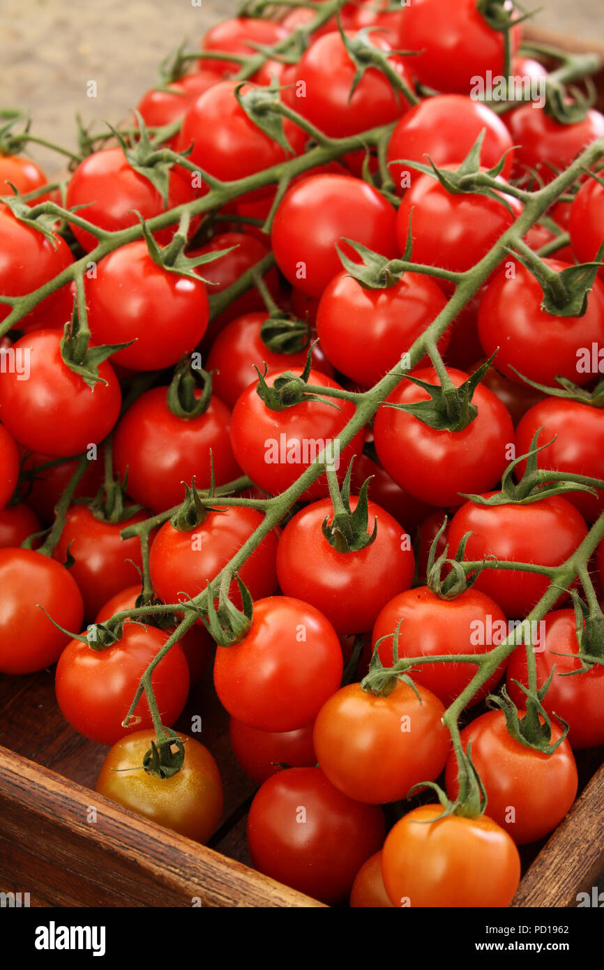 Piccolino Tomatoes High Resolution Stock Photography and Images - Alamy