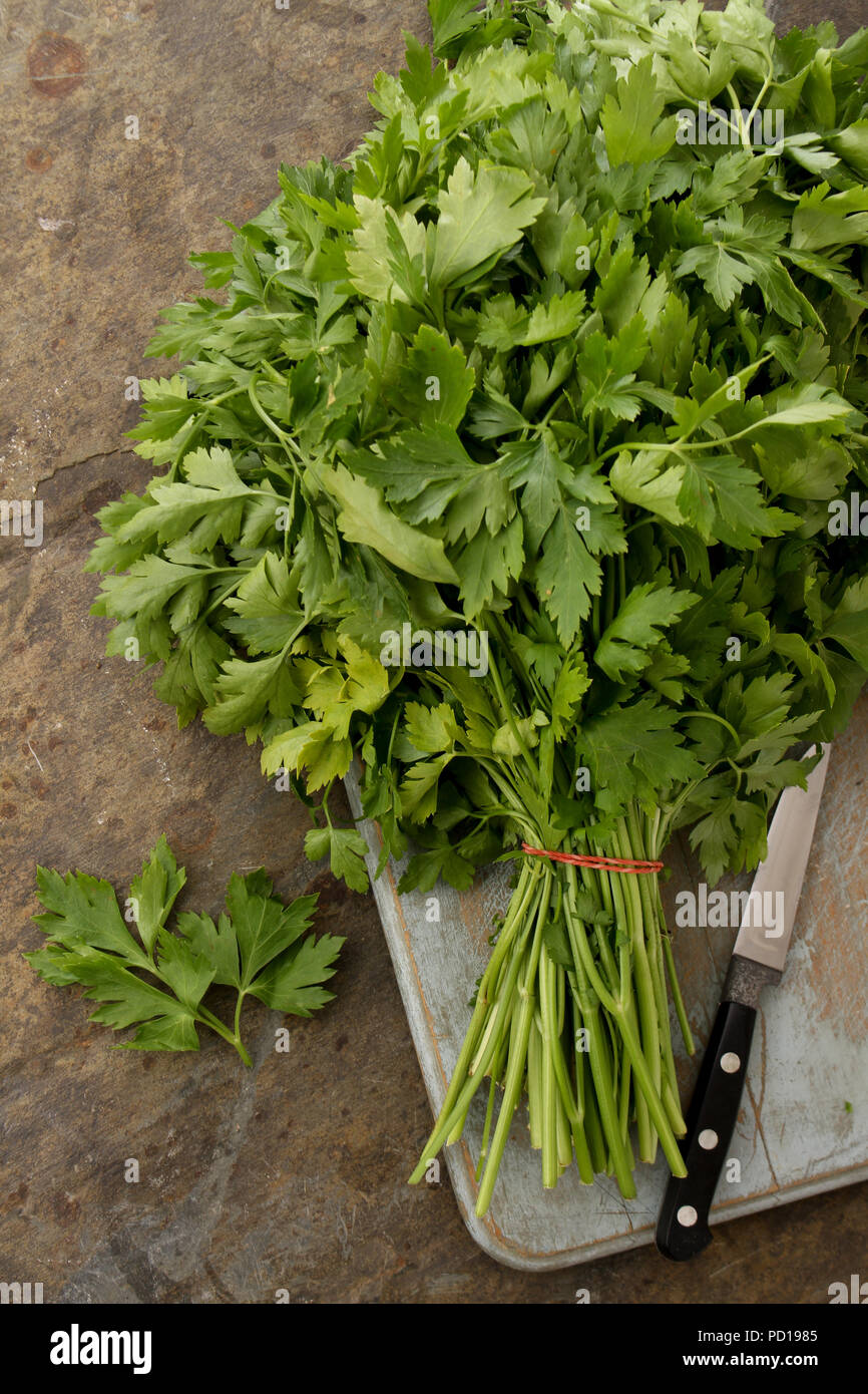 preparing fresh parsley Stock Photo - Alamy