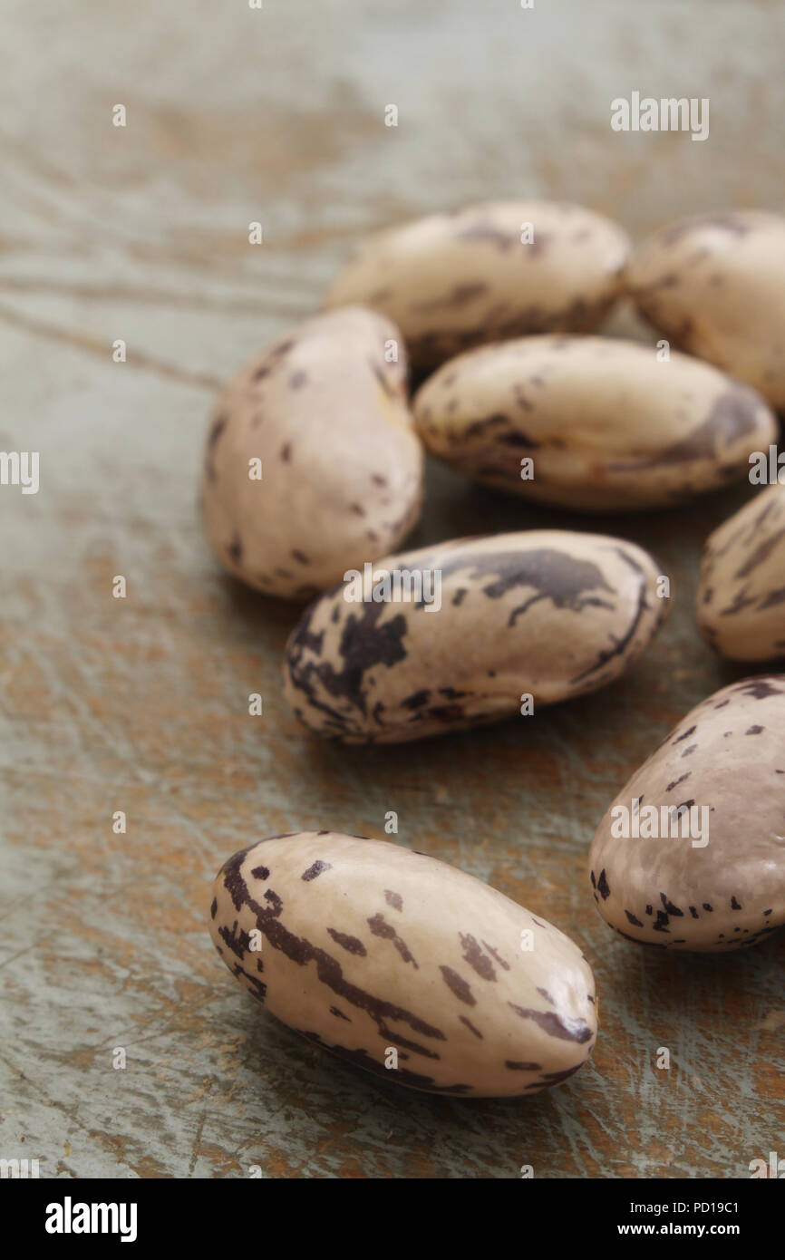 fresh raw borlotti beans Stock Photo - Alamy