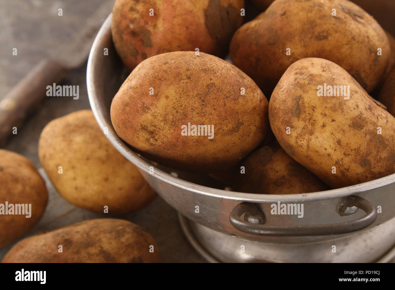 preparing fresh potatoes Stock Photo - Alamy
