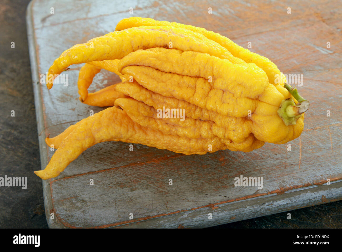 buddhas hand citrus fruit Stock Photo - Alamy