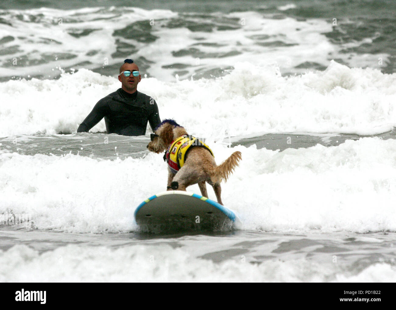 Gallahue hi-res stock photography and images - Alamy