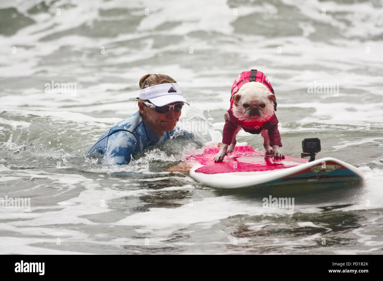 Pacifica, USA. 04th Aug, 2018. Alecia Nelson pushes her dog gidget on ...