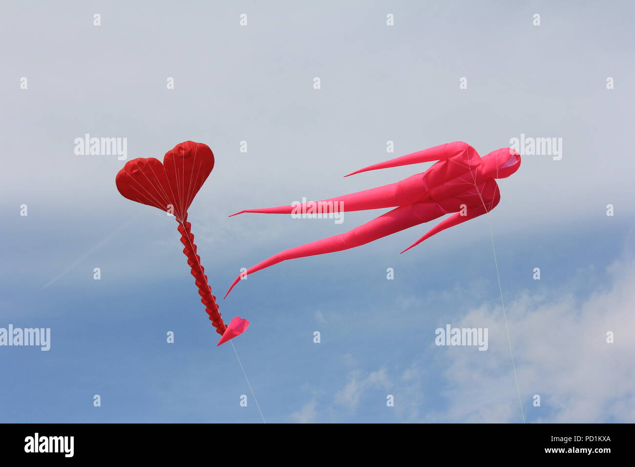 Finding nemo alamy hi-res stock photography and images - Alamy