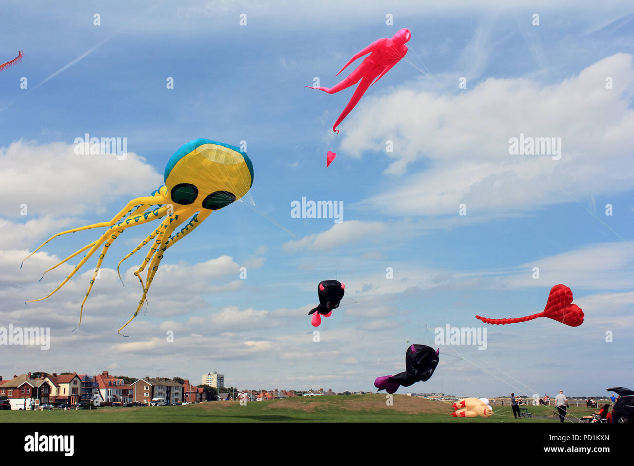 Finding nemo alamy hi-res stock photography and images - Alamy