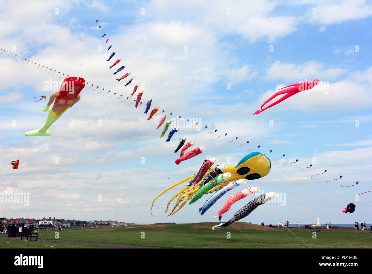Finding nemo alamy hi-res stock photography and images - Alamy