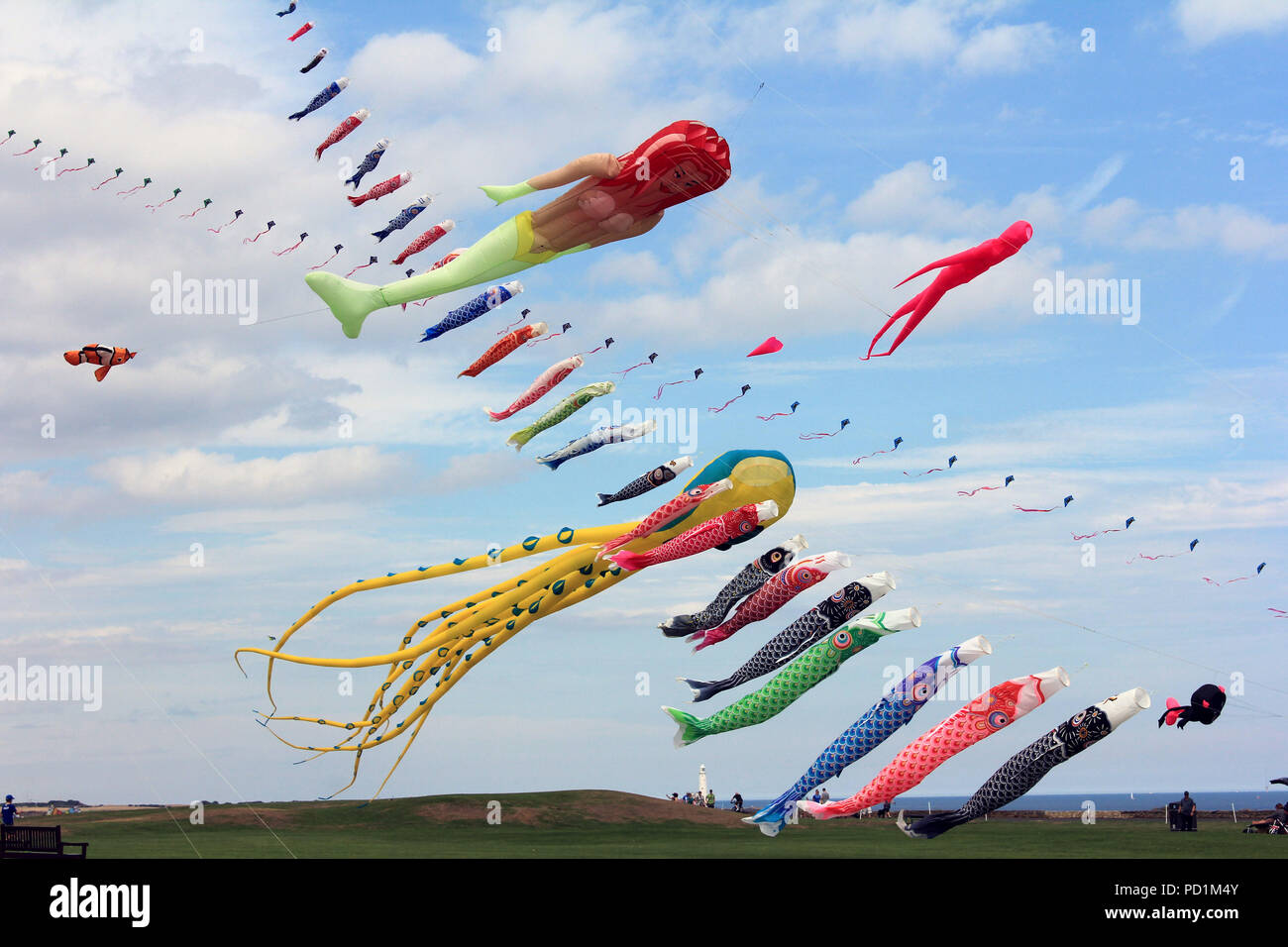 Finding nemo alamy hi-res stock photography and images - Alamy