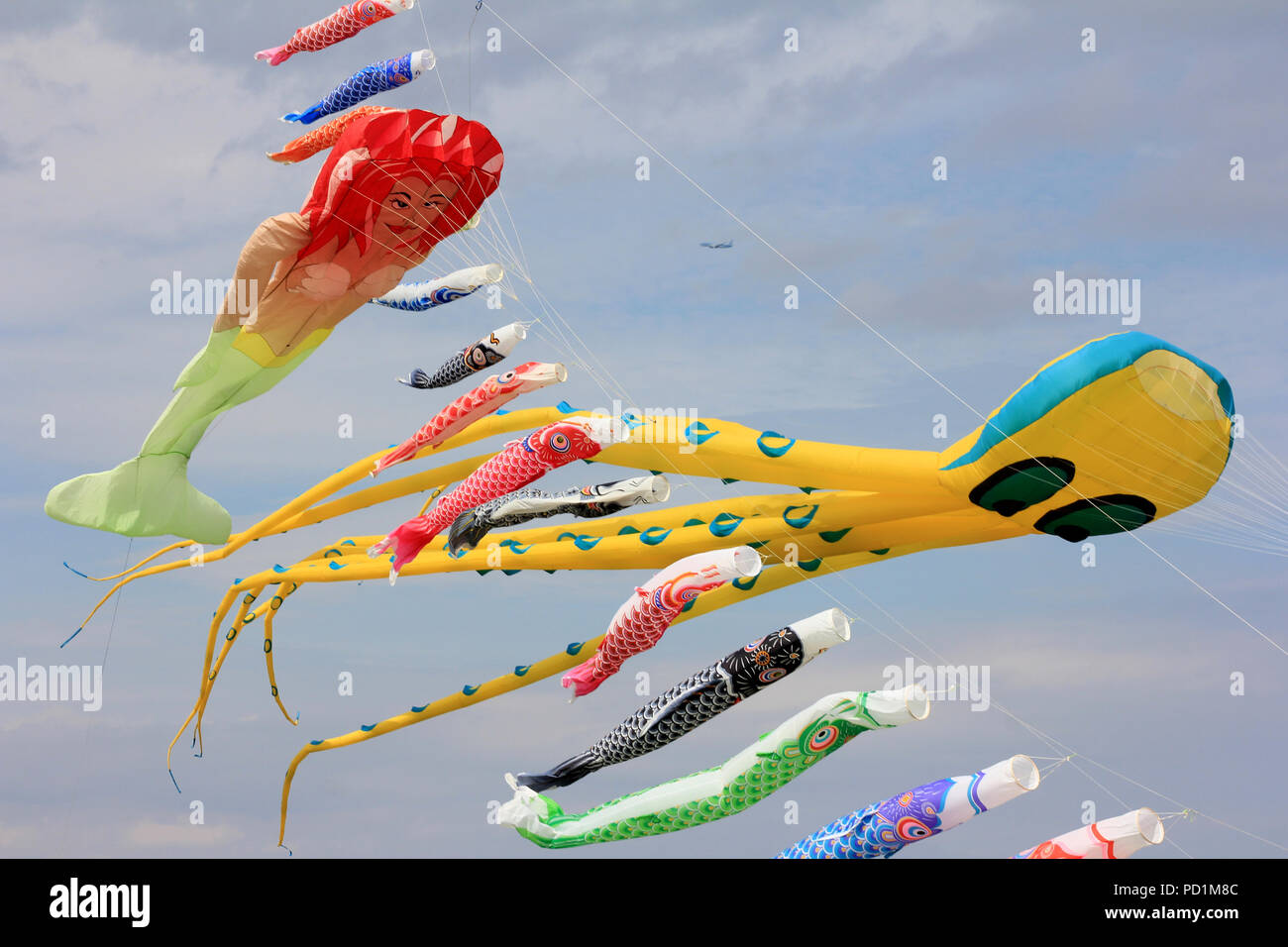 Finding nemo alamy hi-res stock photography and images - Alamy