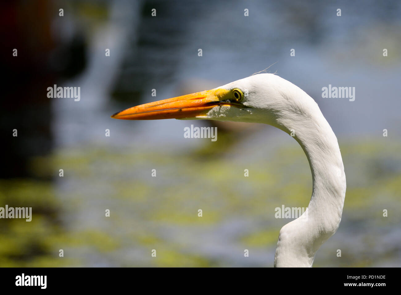 Tinicum park hi-res stock photography and images - Alamy