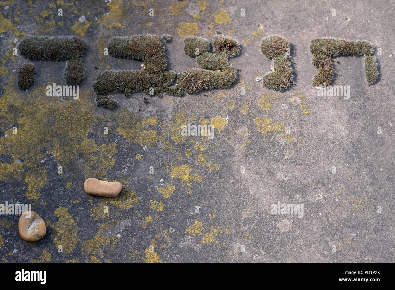 Gravestone with moss at Novo Cemetery, historic Sephardi Jewish burial ...