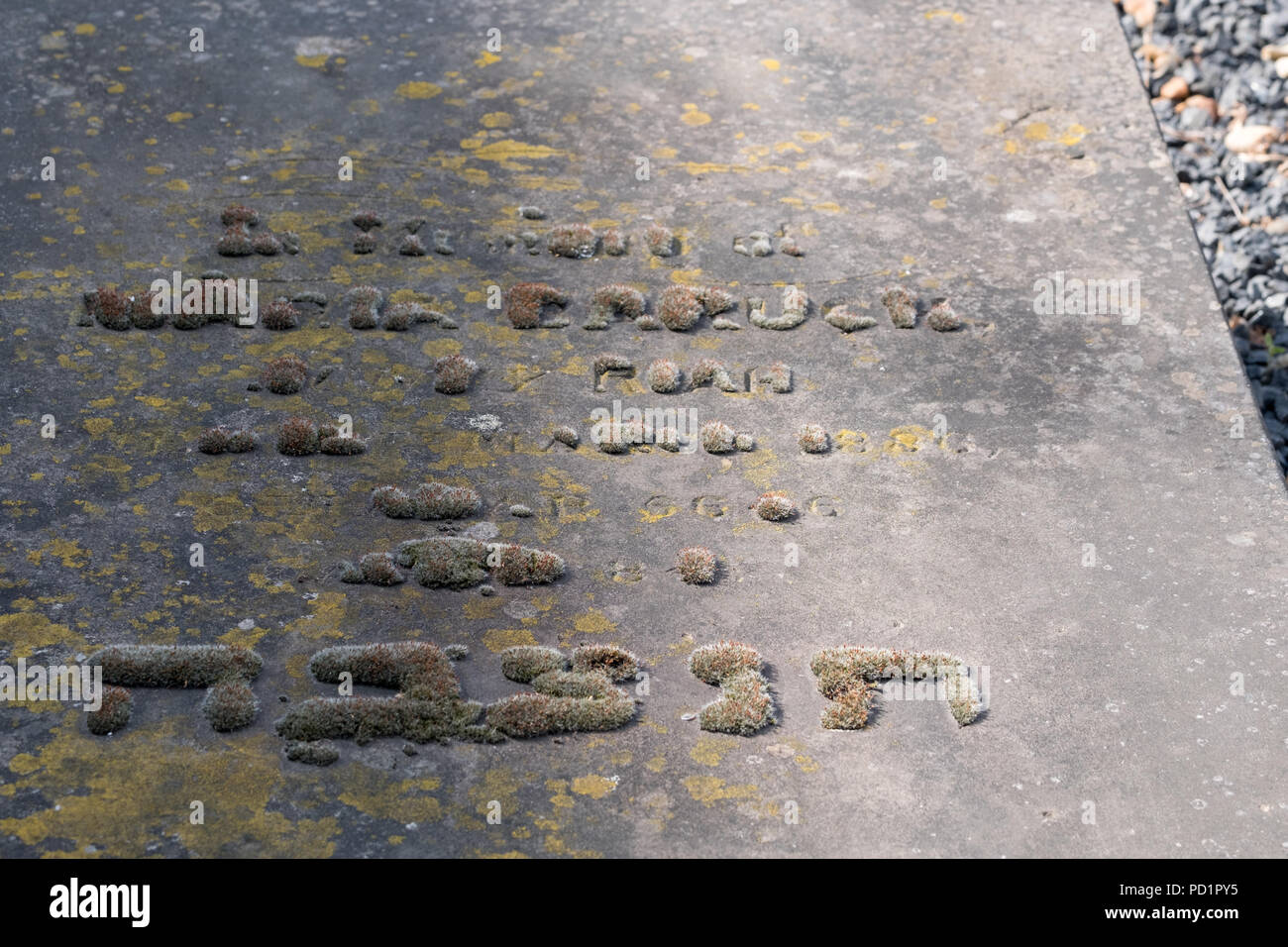 Gravestone with moss at Novo Cemetery, historic Sephardi Jewish burial ...