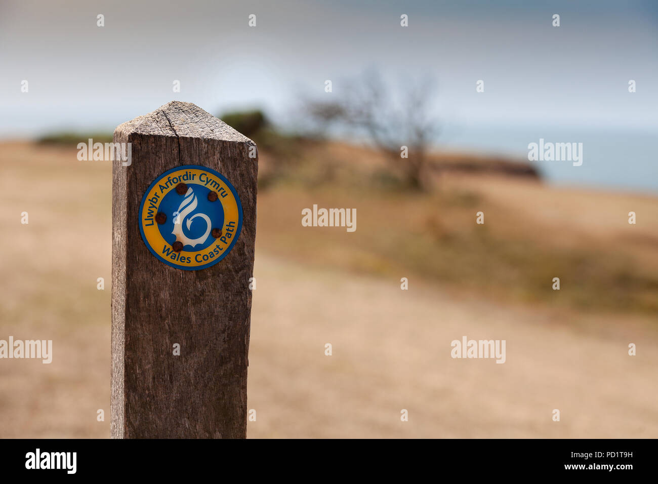 Coastal path direction hi-res stock photography and images - Alamy