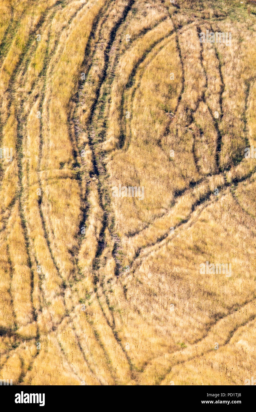 Sheep tracks hi-res stock photography and images - Alamy