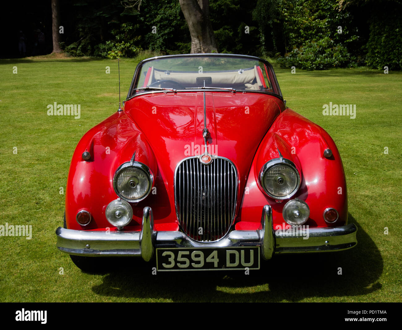 1959 red Jaguar XK 150 on public display on lawn Stock Photo - Alamy