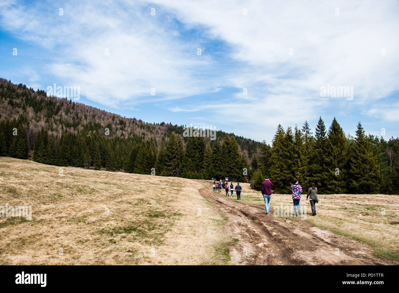 Group of people wandering the forests Stock Photo - Alamy