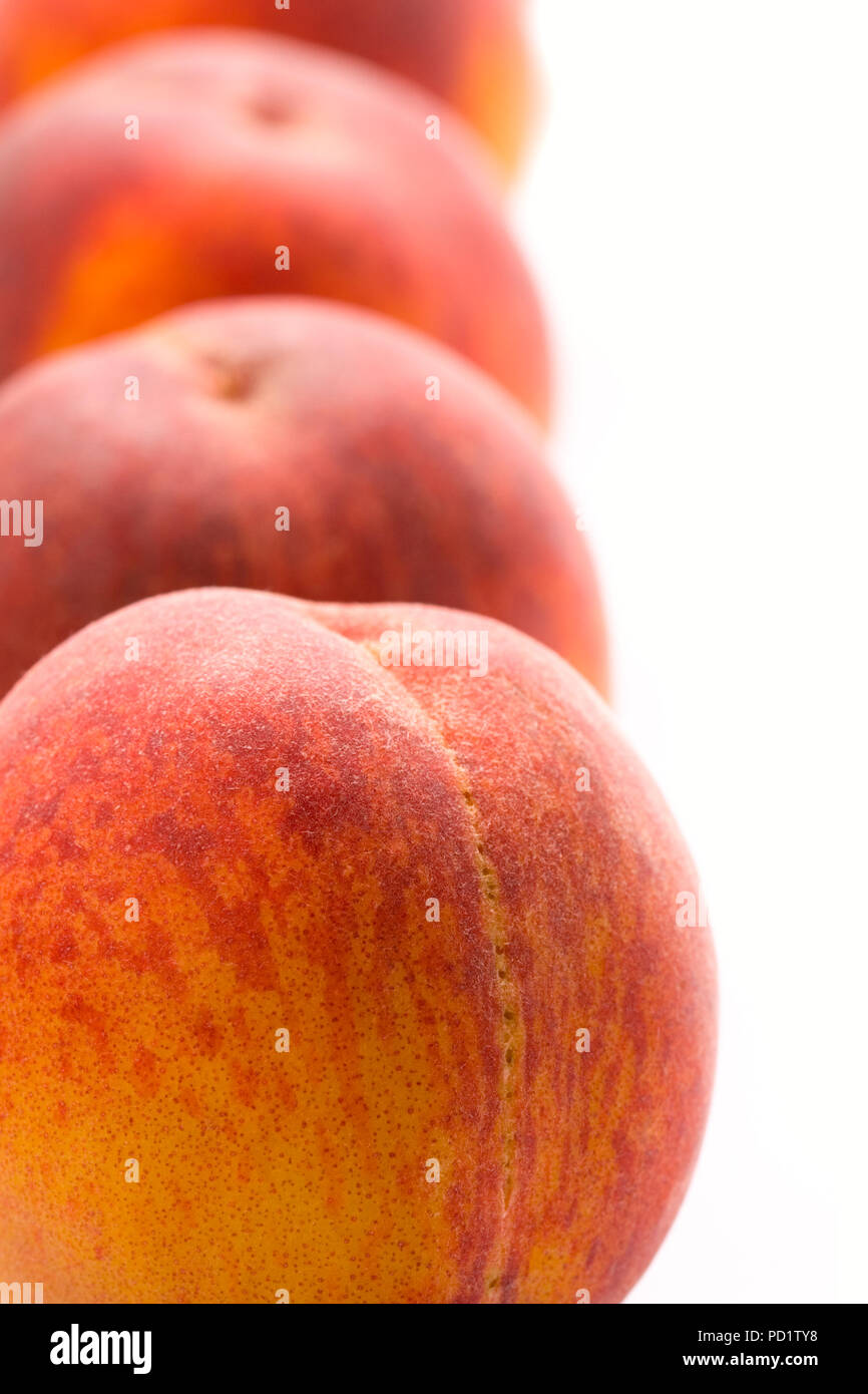 four peaches closeup on white background Stock Photo - Alamy