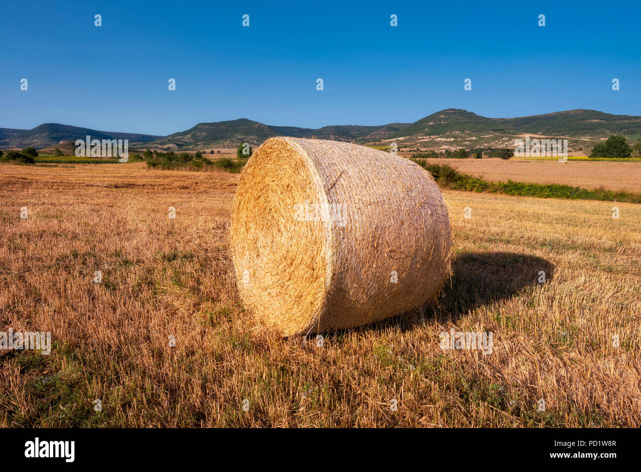 Hay bail field sunset hi-res stock photography and images - Alamy