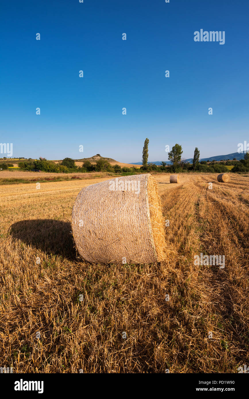 hay bail harvesting in golden field landscape Stock Photo - Alamy