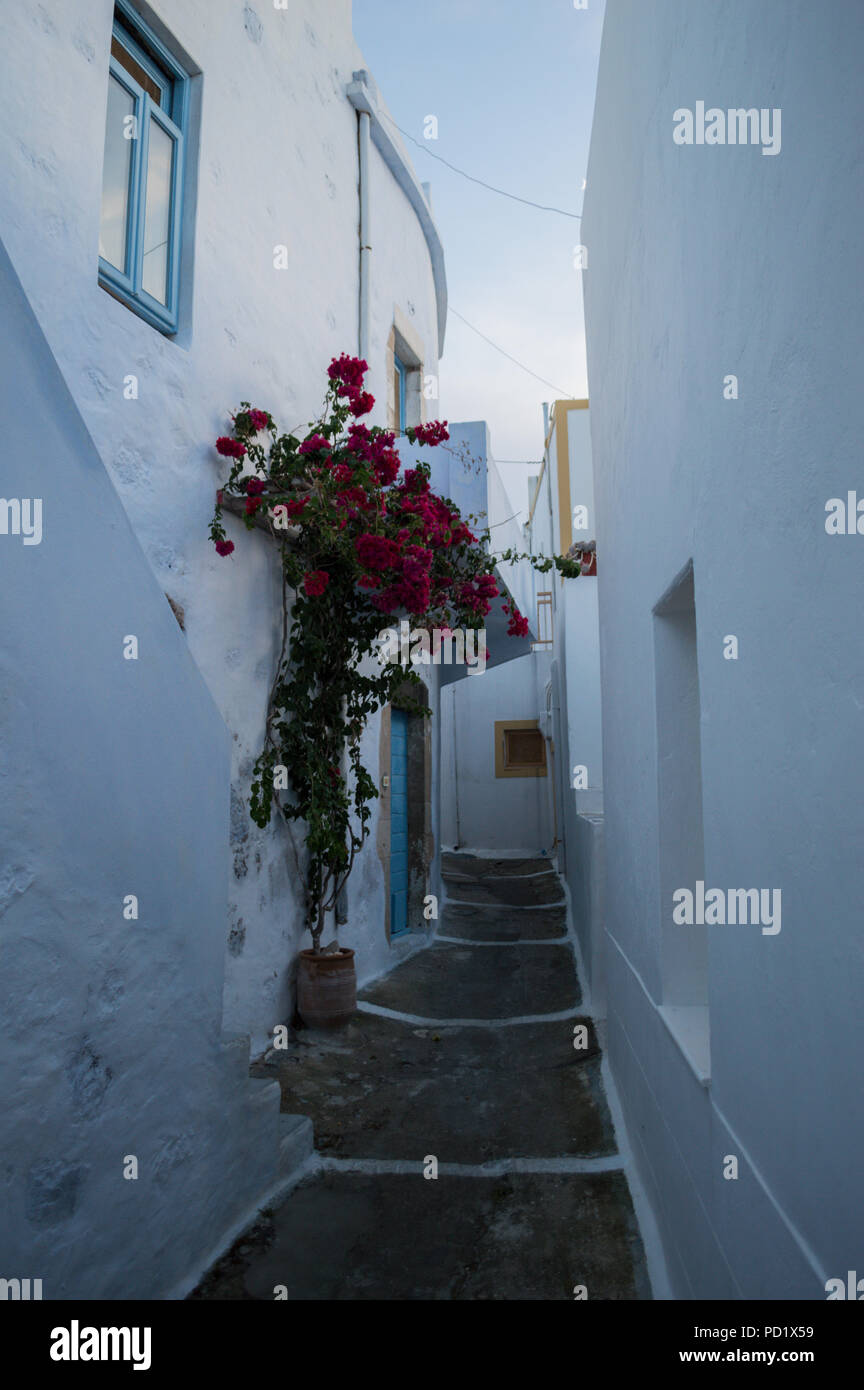 Typical Whitewashed Houses and Alley in Plaka, Milos, Greece Stock ...