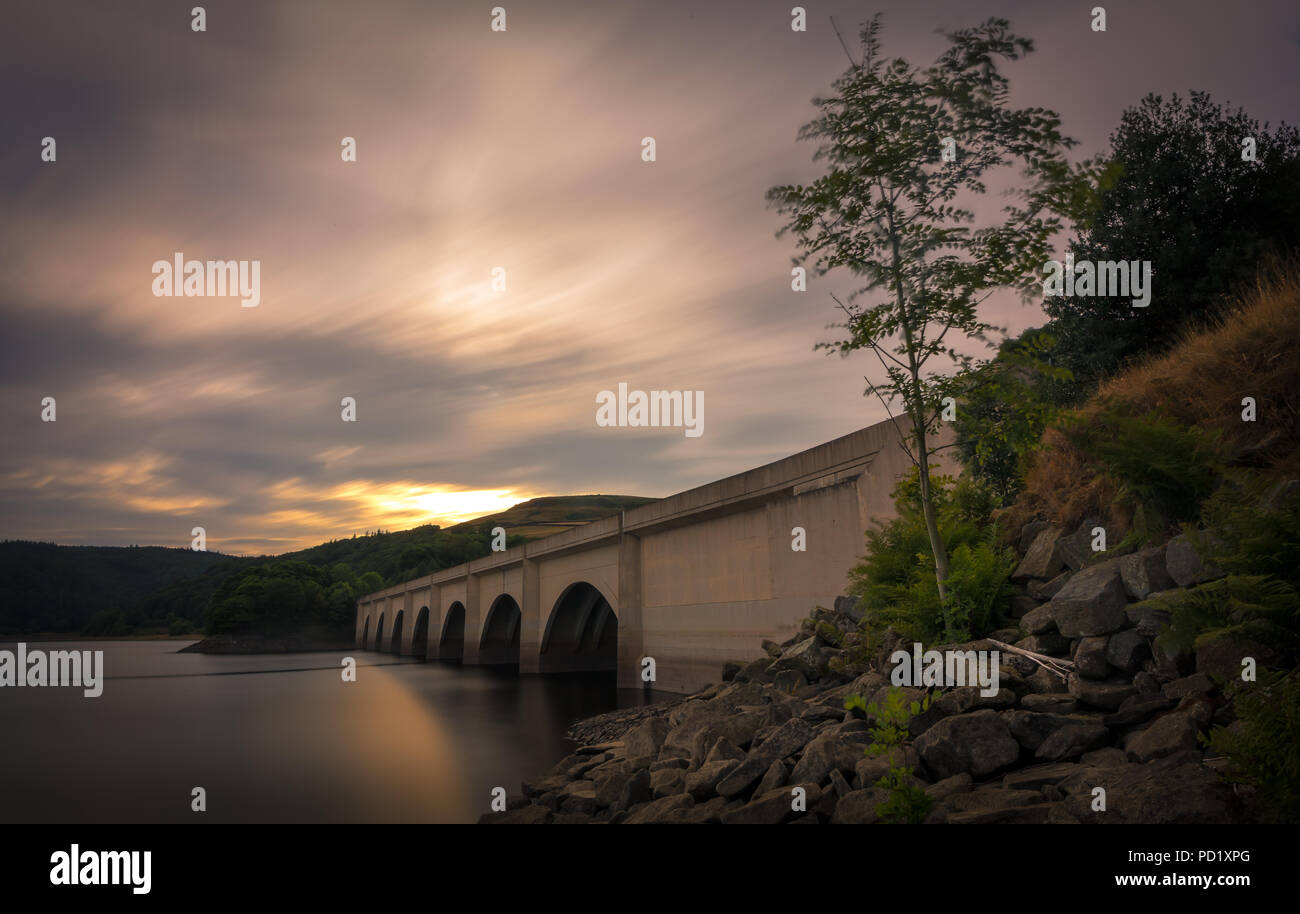 Ladybower birds hi-res stock photography and images - Alamy