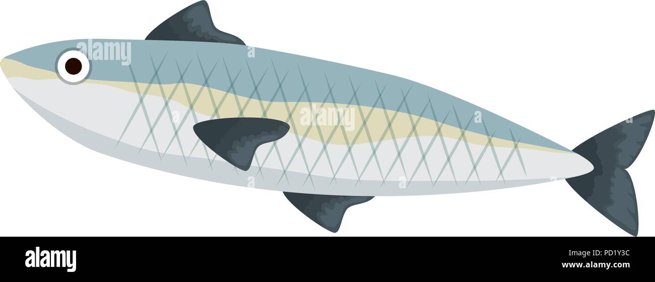 fresh salmon fish food Stock Vector Image & Art - Alamy