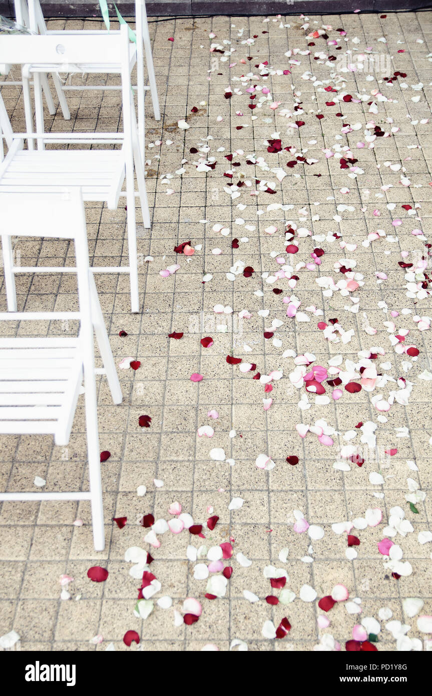 path strewn with rose petals at the wedding ceremony Stock Photo - Alamy