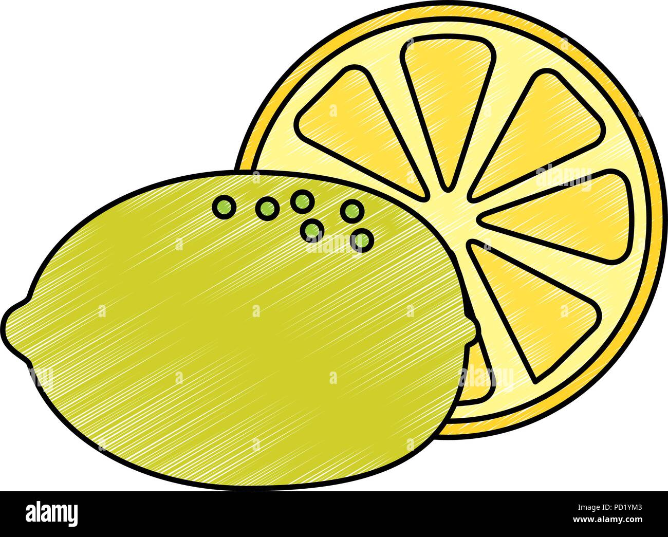 fresh lemon citrus fruit Stock Vector Image & Art - Alamy