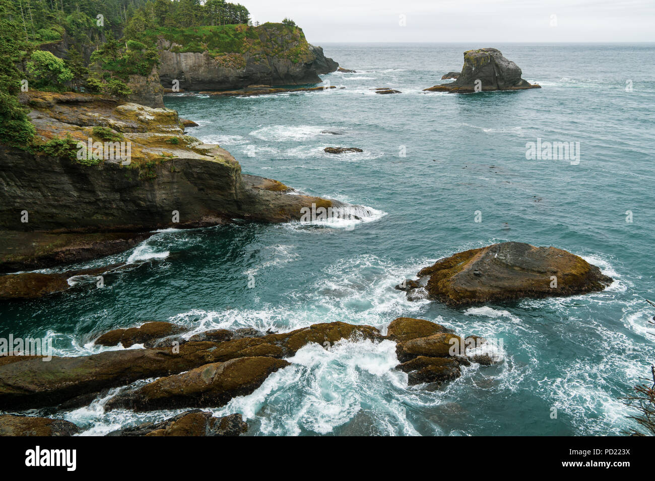 Neah bay washington state hi-res stock photography and images - Alamy