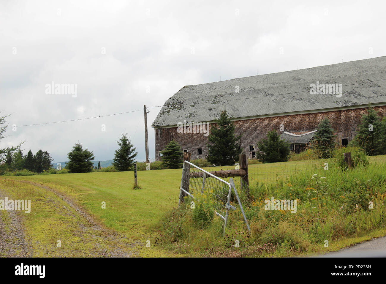 country scene of entry to farm and old rustic barn in the distance ...