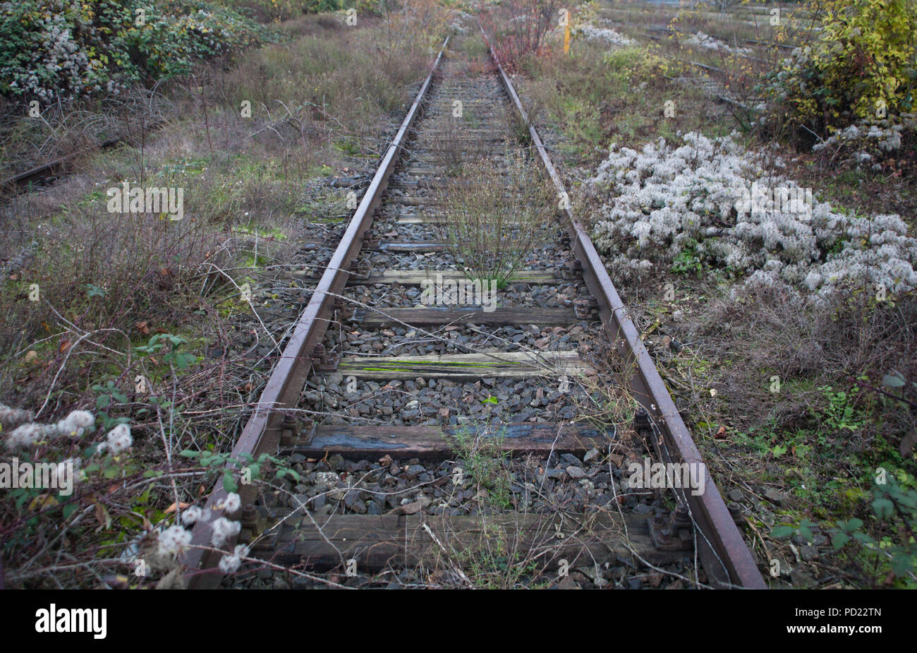 Abandoned railtrack hi-res stock photography and images - Alamy