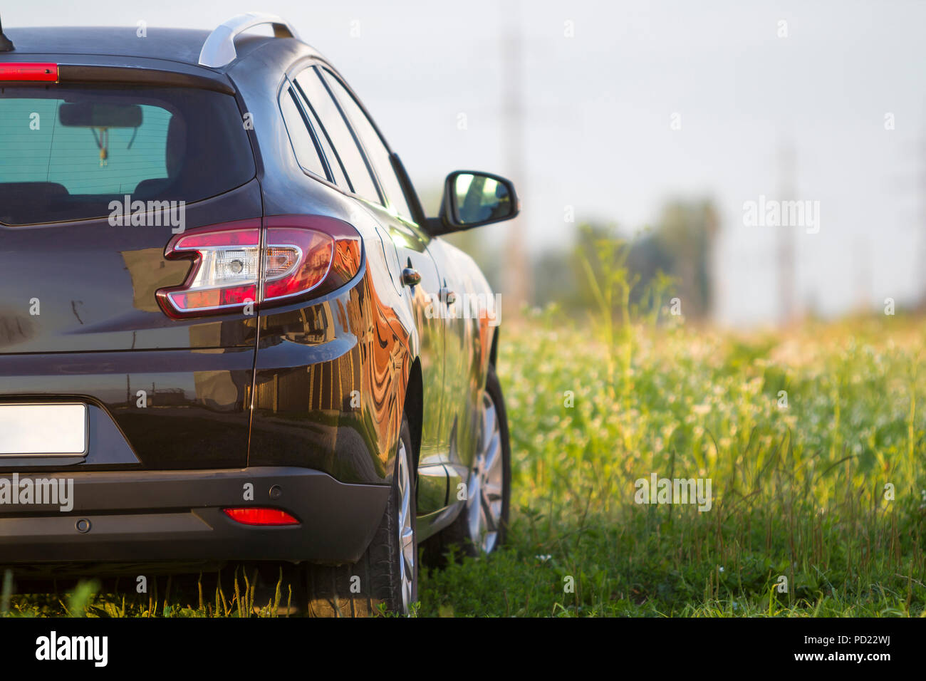 Back view of modern new shiny empty black car parked outside road in ...