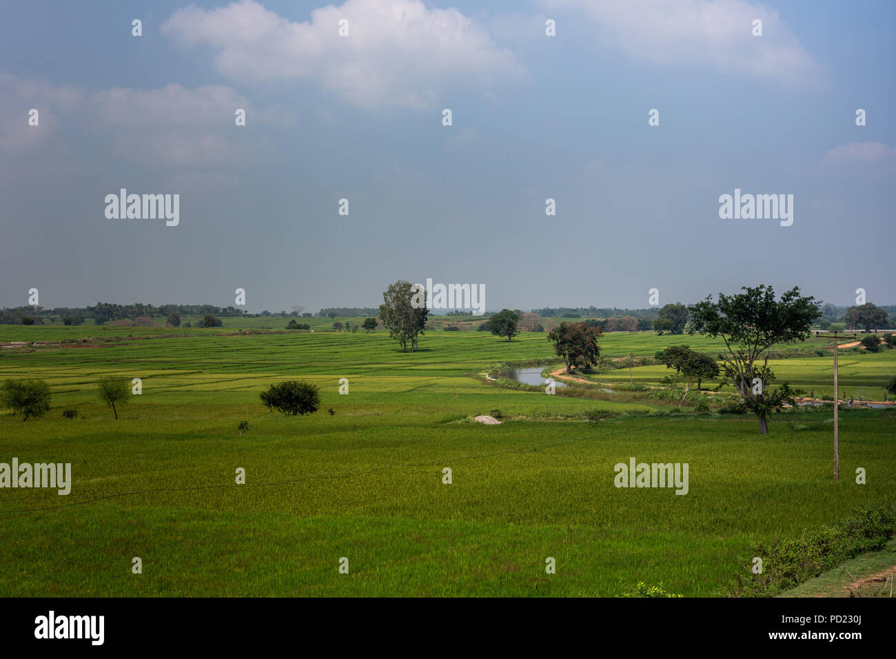 Katte Malalawadi, Karnataka, India - November 1, 2013: Wide expanse ...