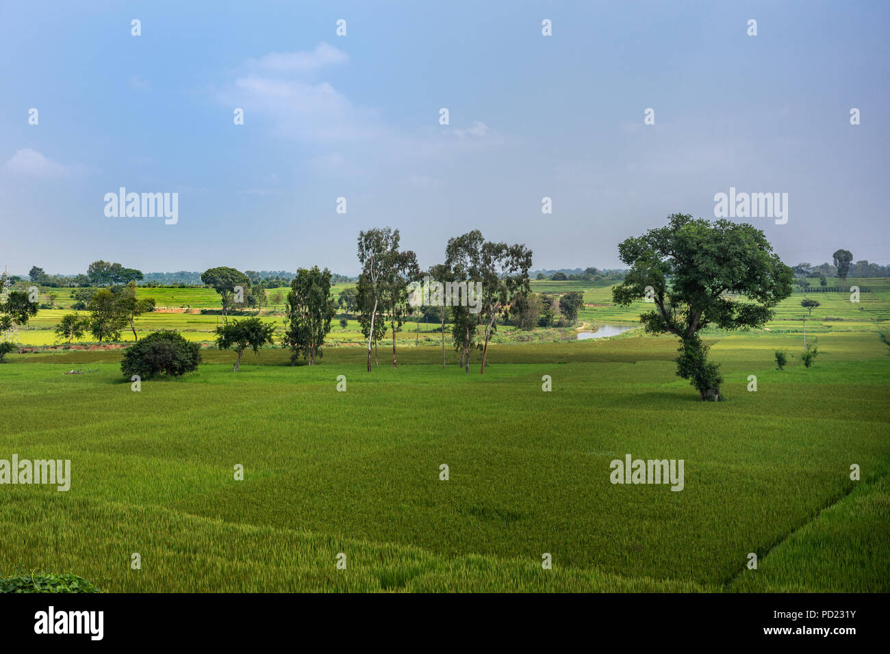 Katte Malalawadi, Karnataka, India - November 1, 2013: Wide expanse ...