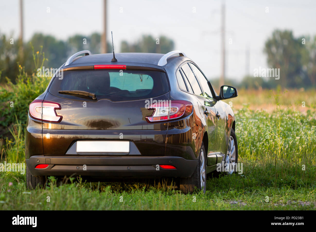 Back view of modern new shiny empty black car parked outside road in ...