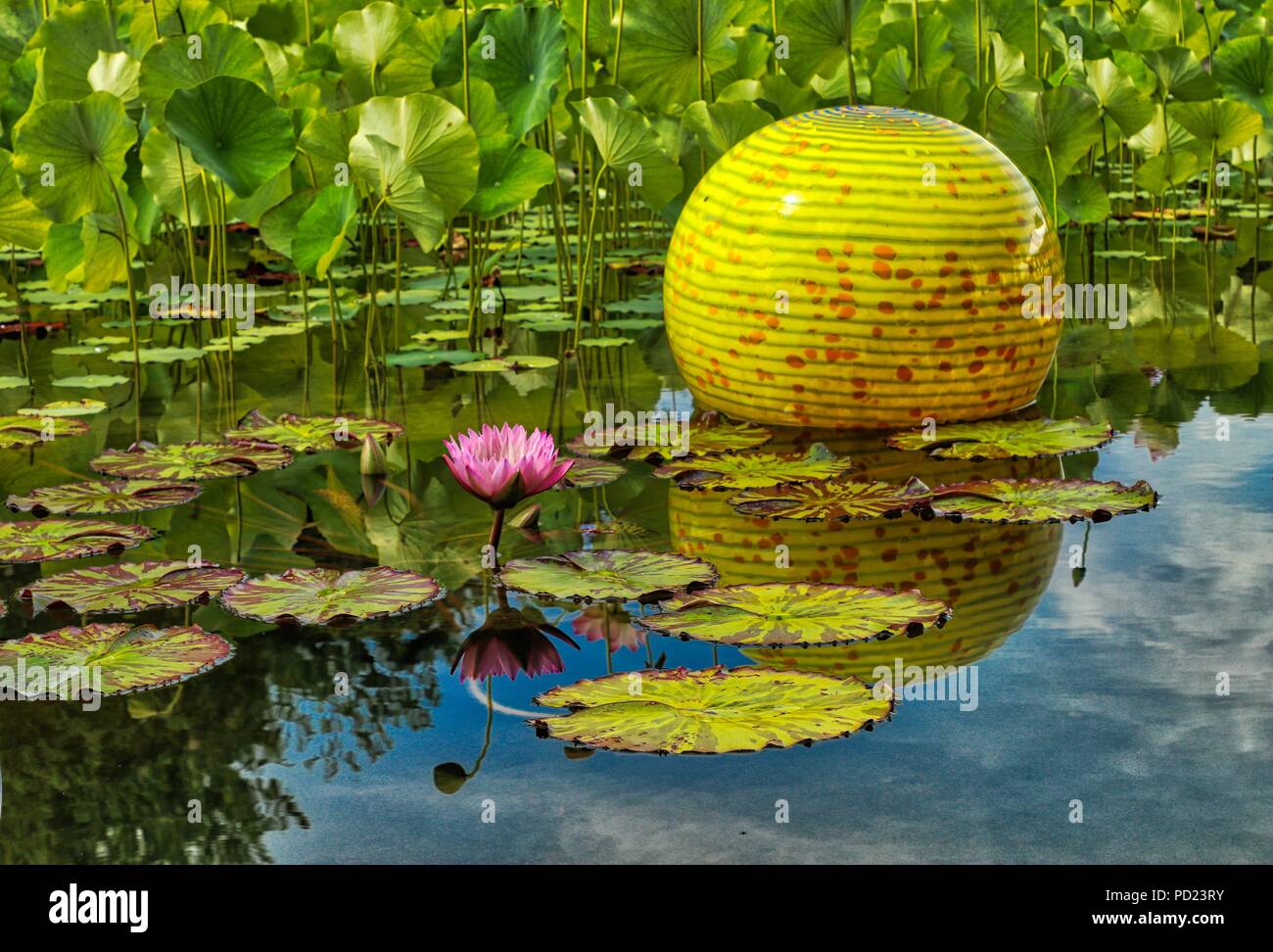 Ponds billboard hi-res stock photography and images - Alamy