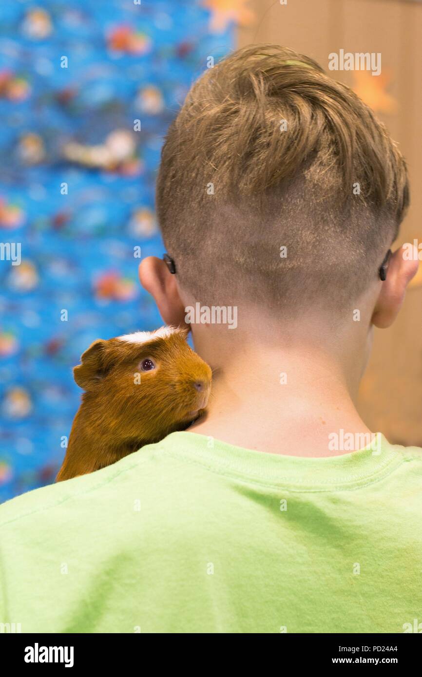 Boy Holding Pig High Resolution Stock Photography and Images - Alamy