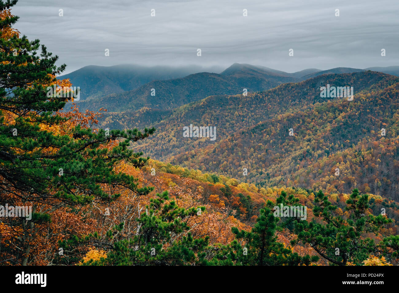Autumn Blue Ridge Mountain View, from the Blue Ridge Parkway in the ...