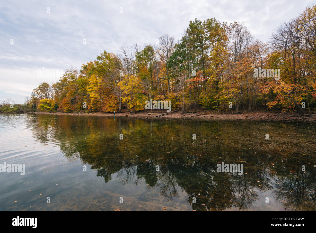 Autumn color at Loch Raven Reservoir, in Cockeysville, Maryland Stock ...