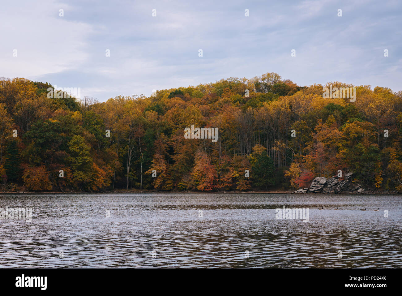 Autumn color at Loch Raven Reservoir, in Cockeysville, Maryland Stock ...