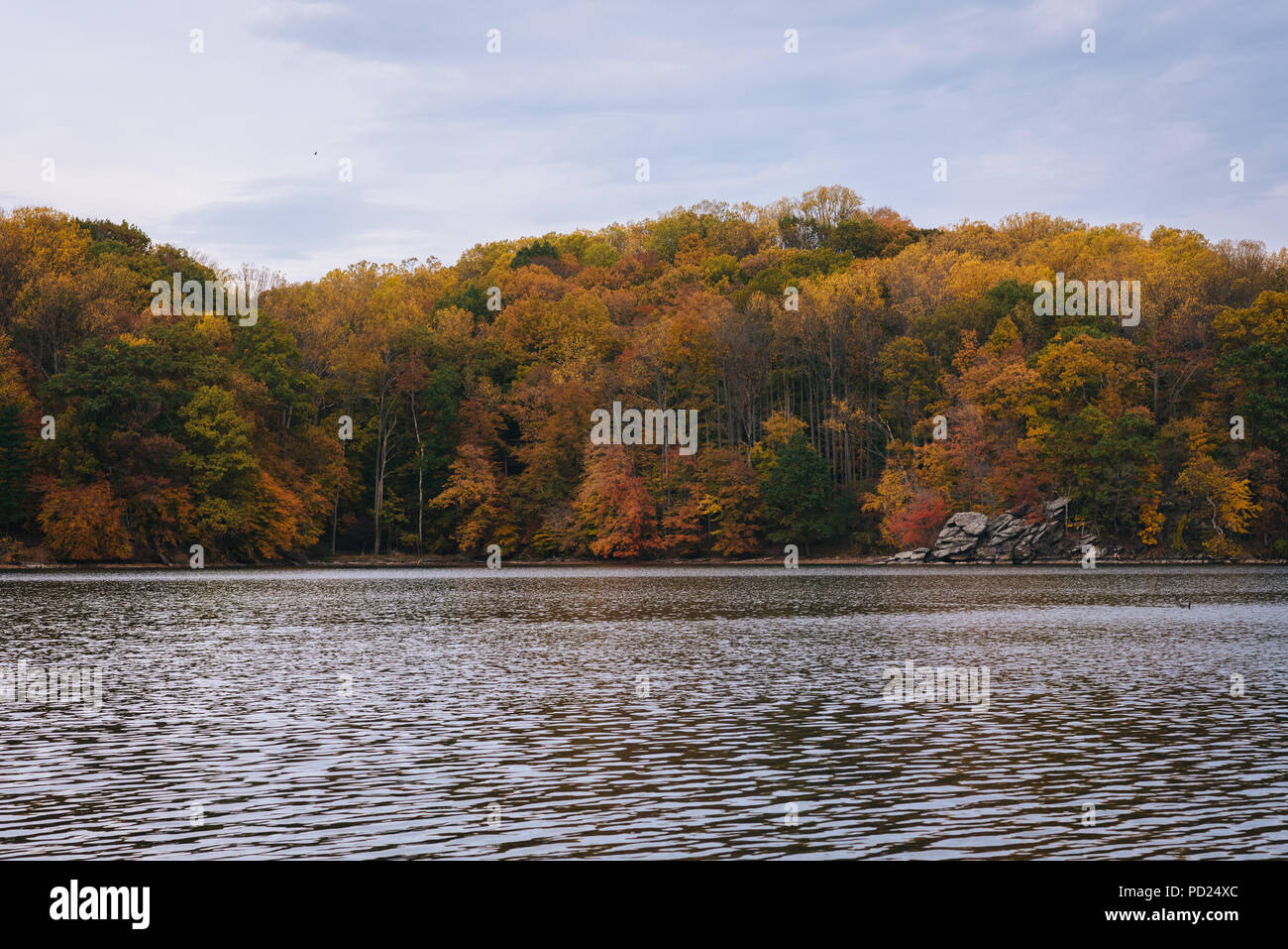 Autumn color at Loch Raven Reservoir, in Cockeysville, Maryland Stock ...