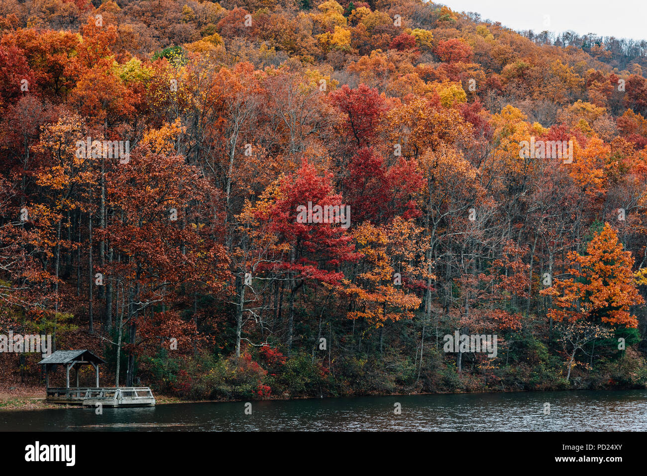 Autumn color at Sherando Lake, near the Blue Ridge Parkway in George ...