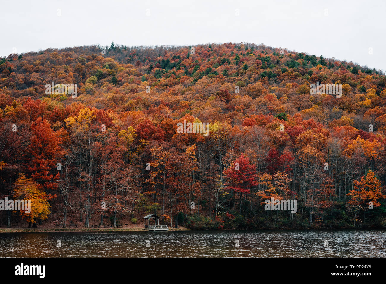 Autumn color at Sherando Lake, near the Blue Ridge Parkway in George ...