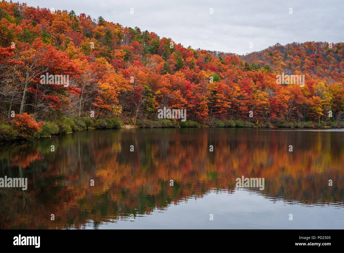Autumn reflections at Sherando Lake, near the Blue Ridge Parkway in ...