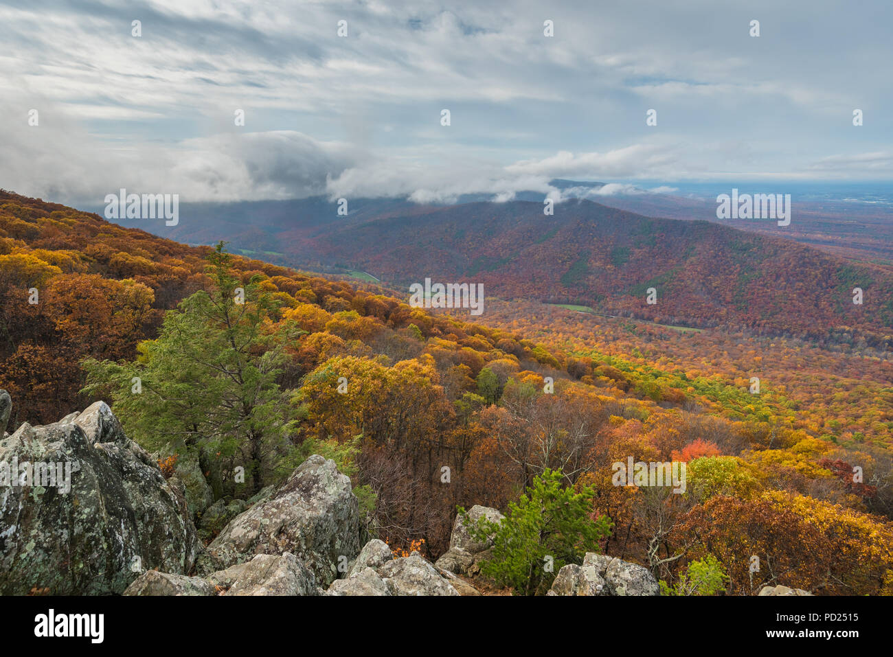 Autumn view from Ravens Roost Overlook, on the Blue Ridge Parkway in ...