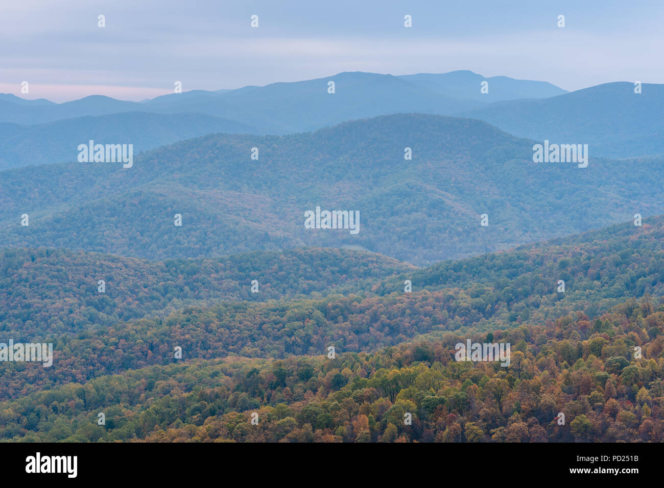 Autumn view of Blue Ridge mountain ridges from Skyline Drive in ...