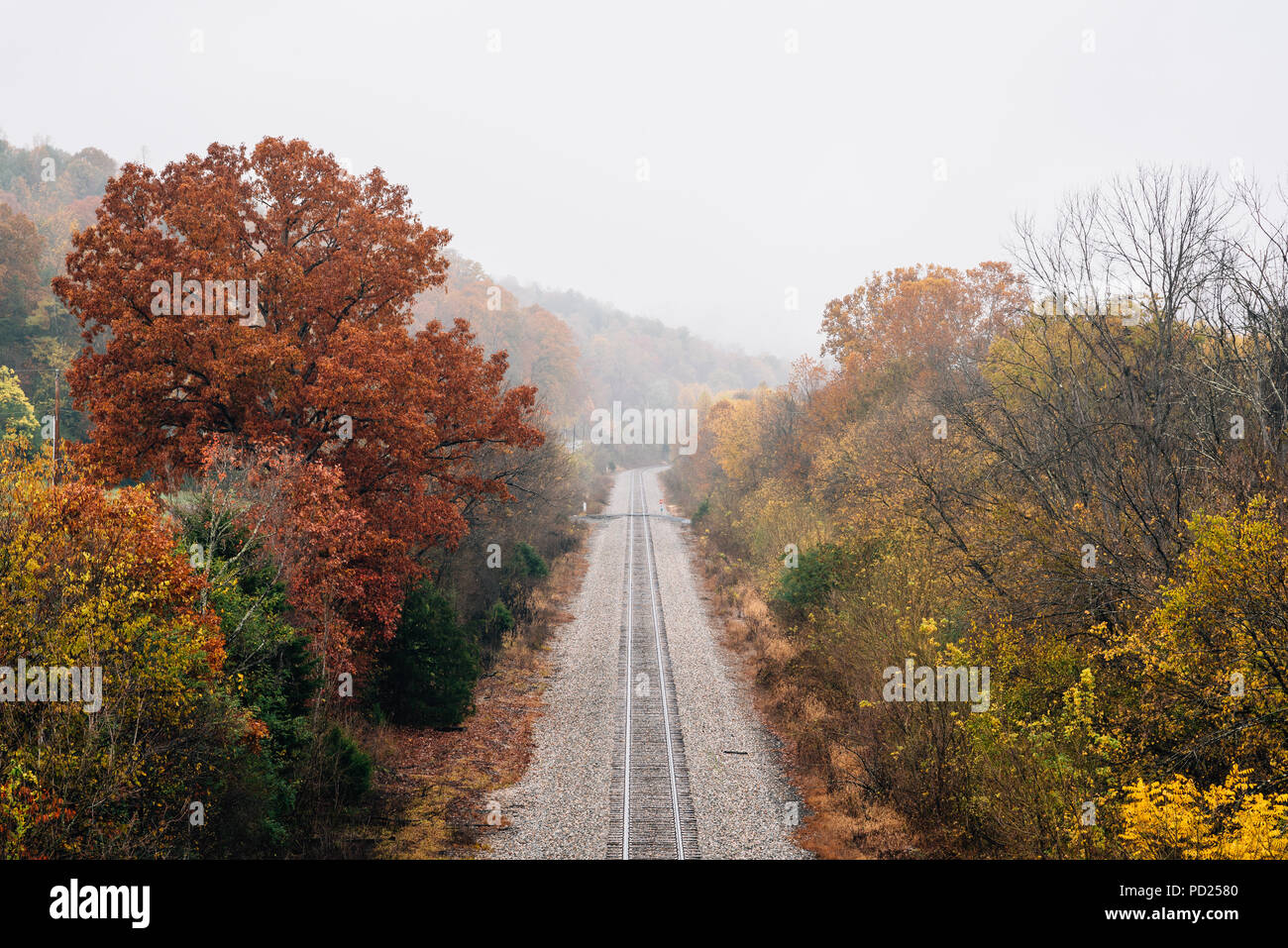 Fall color along a railroad track, from the Blue Ridge Parkway in ...