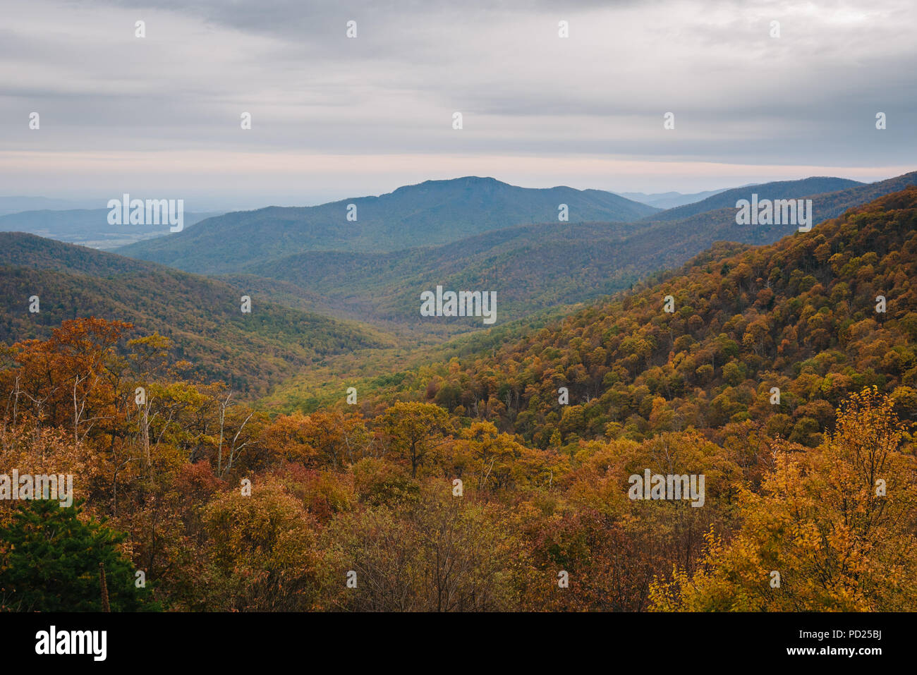Fall color and Blue Ridge Mountains view from Skyline Drive in ...