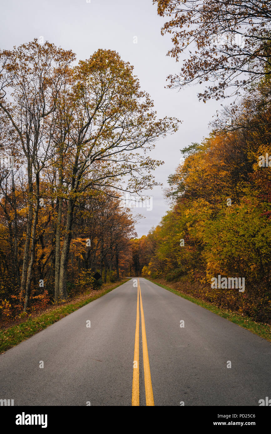 Fall foliage along the Blue Ridge Parkway in the Appalachian Mountains ...